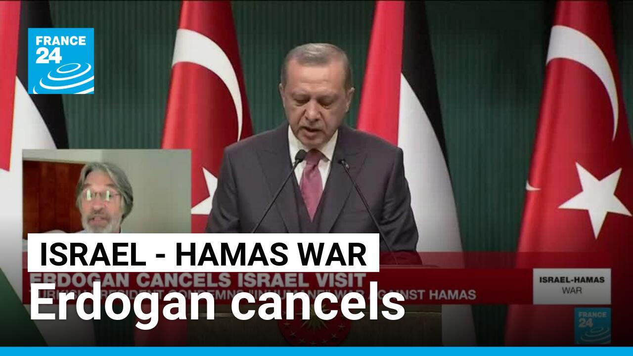 Turkey's Erdogan says cancelling plans to visit Israel over 'inhumane' war against Hamas - France 24